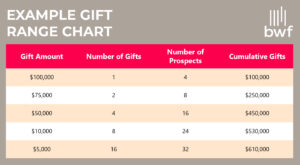 Comprehensive Campaigns vs. Capital Campaigns | BWF
